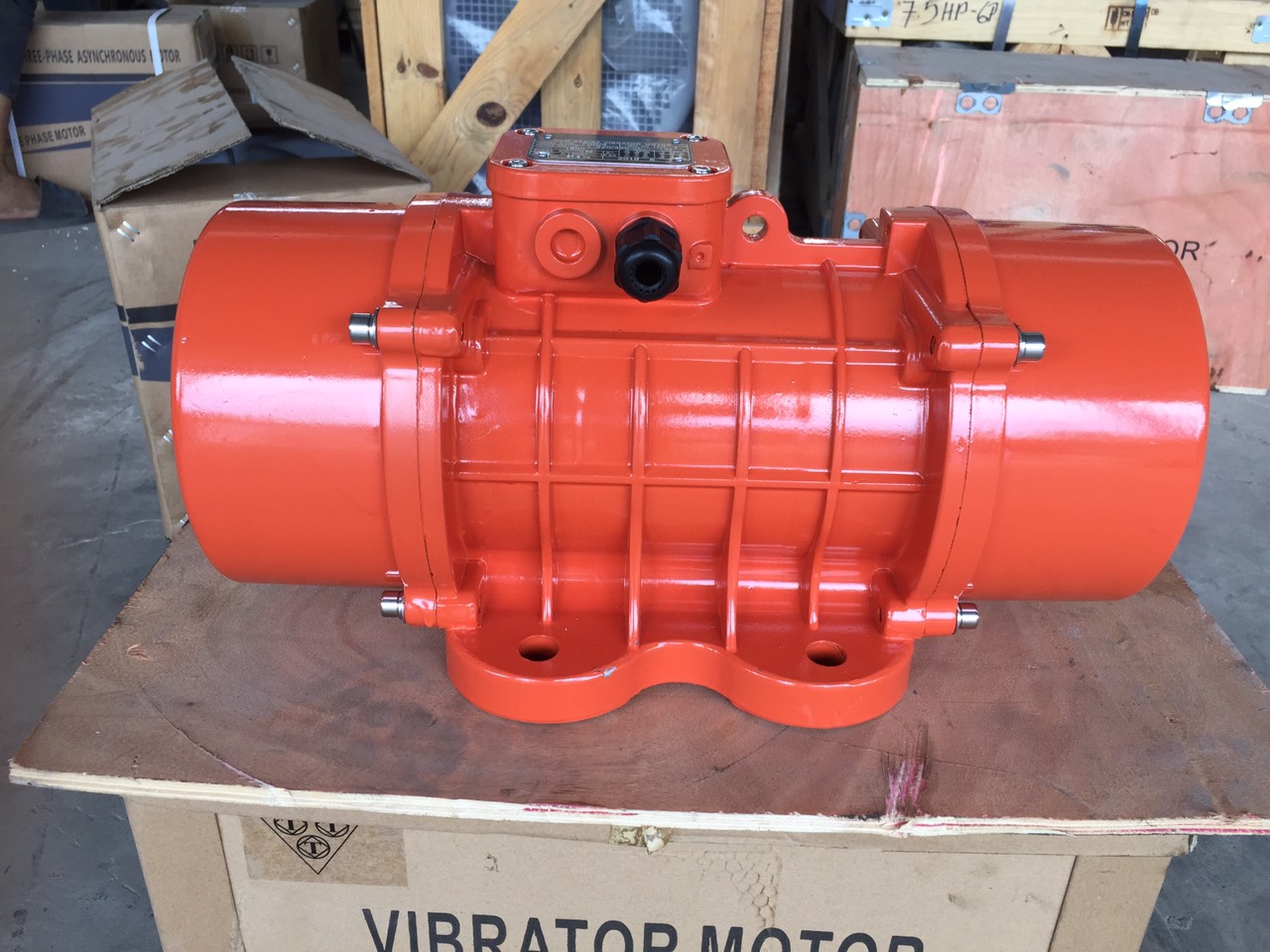 Cấu tạo, nguyên lý hoạt động và tiêu chuẩn của motor rung trong thực tế